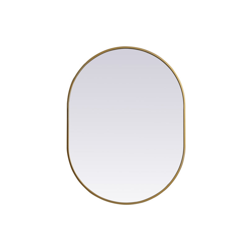 Sabine Metal Pill Wall Mirror & Reviews | Joss & Main