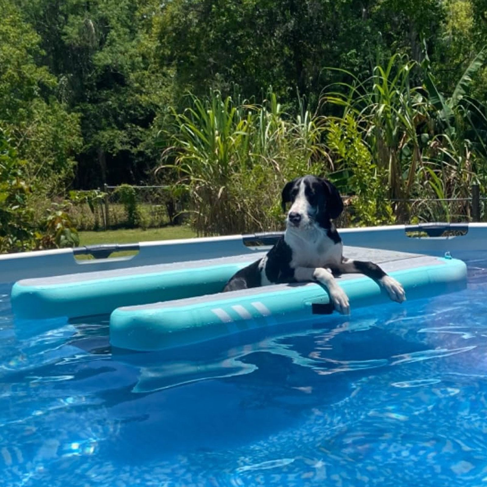 Tucker Murphy Pet™ Dog Water Ramp,Inflatable Dog Float Floating Ramp ...