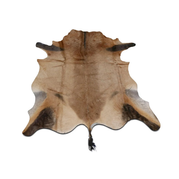 Foundry Select Real Hartebeest Antelope Hide Rug | Wayfair