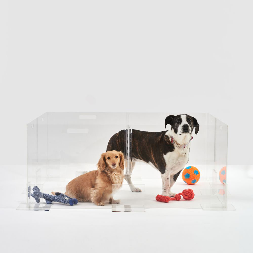 Hiddin 24'' H 4 Panel Plastic Exercise Pen - Wayfair Canada