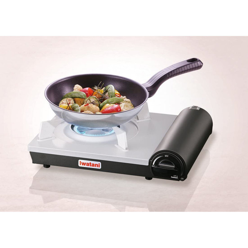 Iwatani Single Burner Butane Outdoor Stove | Wayfair
