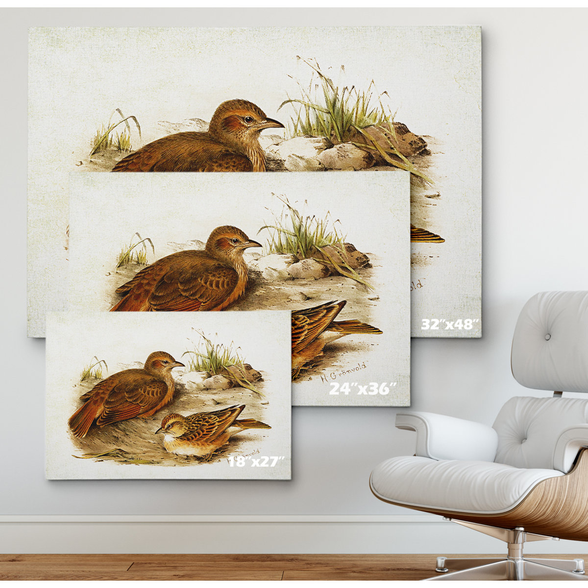Alcott Hill® 'Aviary Drawing I' Print | Wayfair