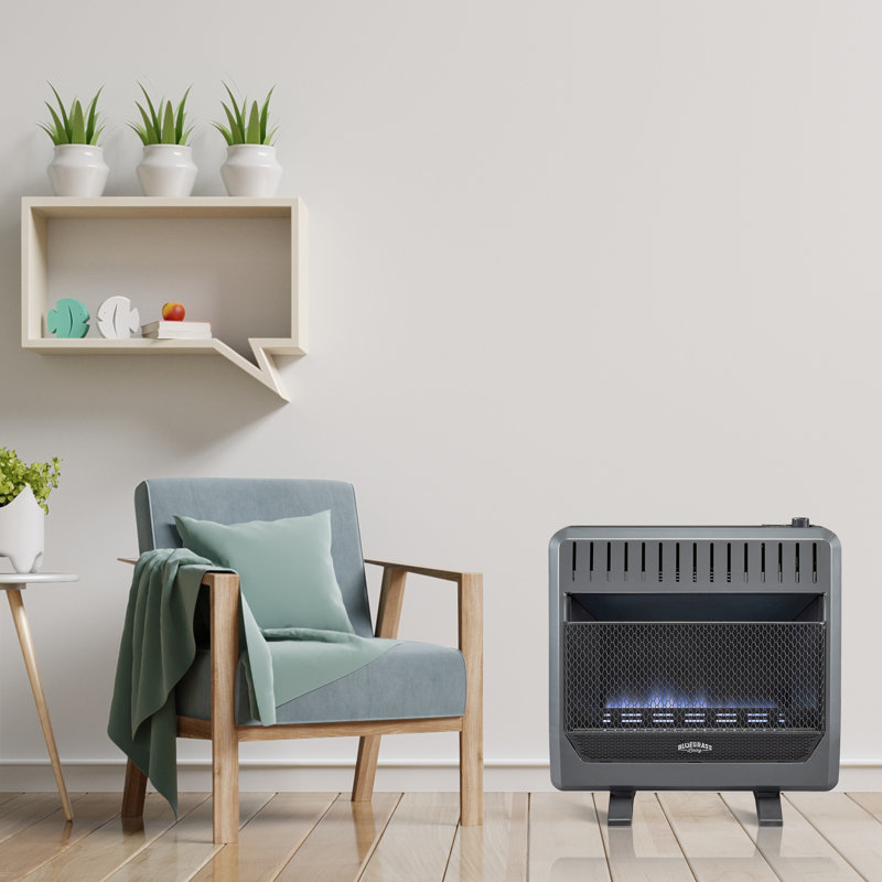 Bluegrass Living 30000 BTU Propane Wall Mounted Space Heater with ...