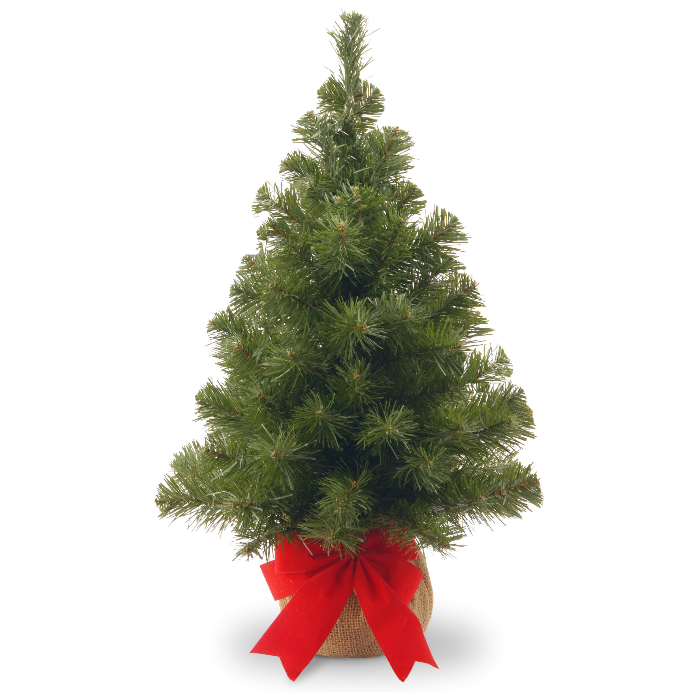 National Tree Company 2 ft. Noble Spruce Tree & Reviews | Wayfair