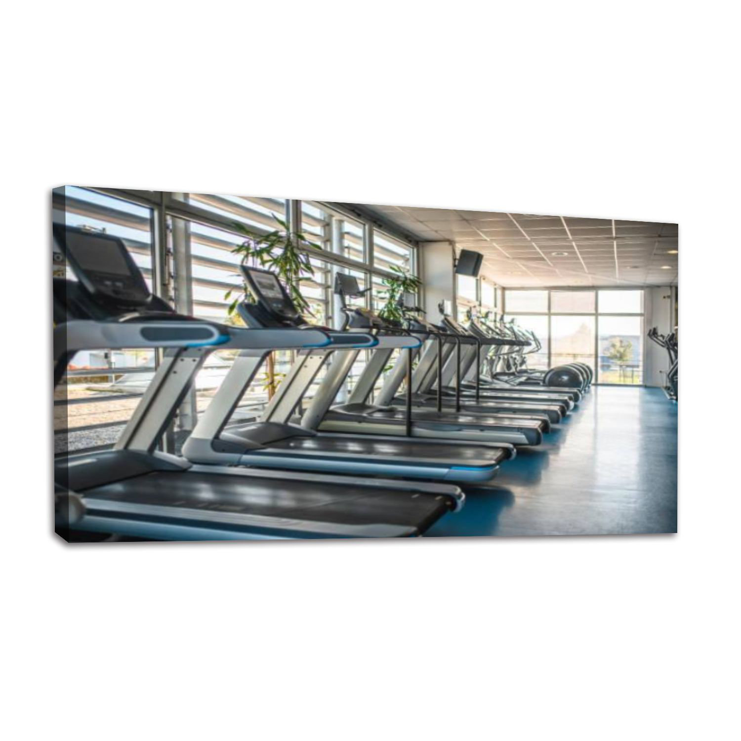 Dakota Fields Canvas Wall Art Treadmills Cross Trainers Side by Side ...