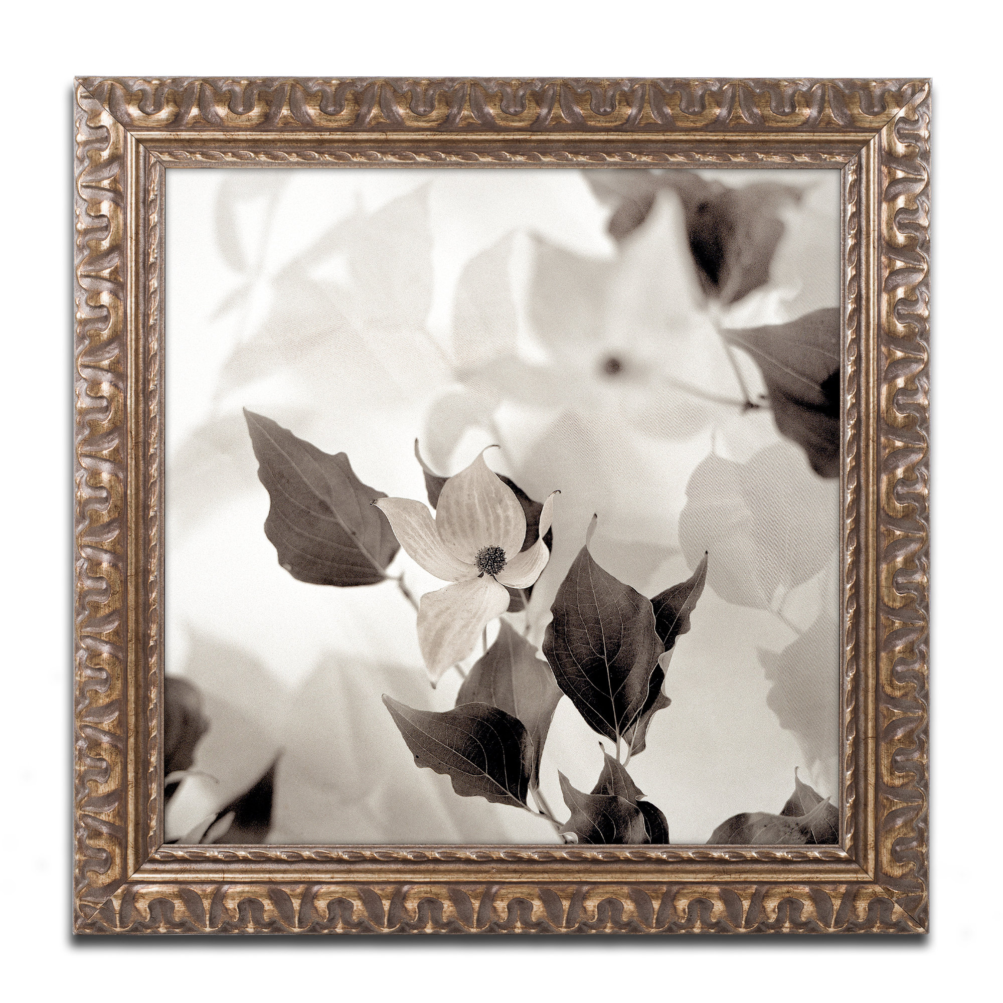 Ebern Designs Alan Blaustein Florison LIV Framed On Canvas by Alan ...