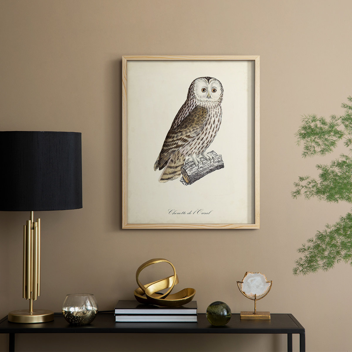Ophelia & Co. French Owls V Framed Print - Solid Wood | Wayfair