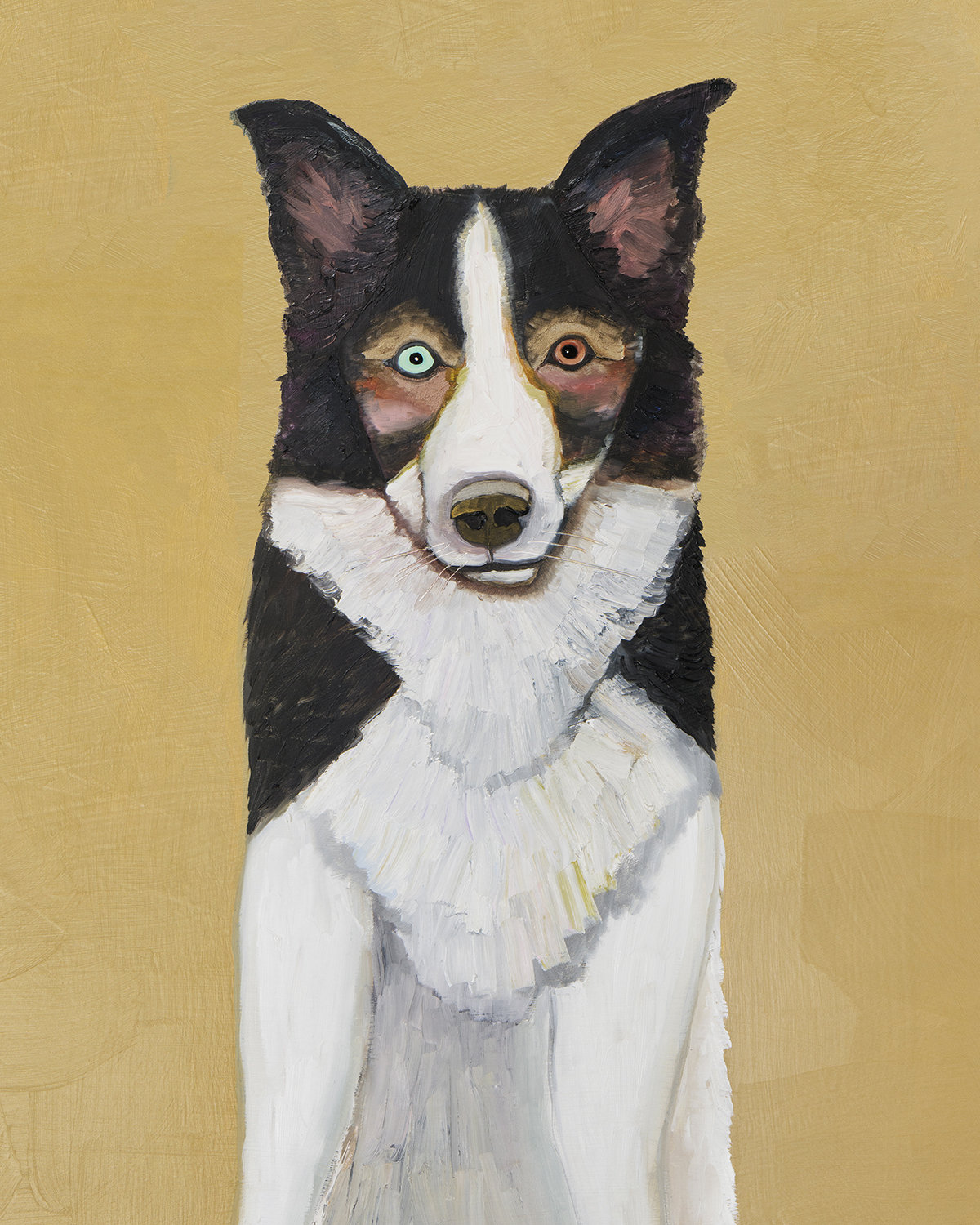 Winston Porter 'Border Collie' - Picture Frame Print on Canvas ...
