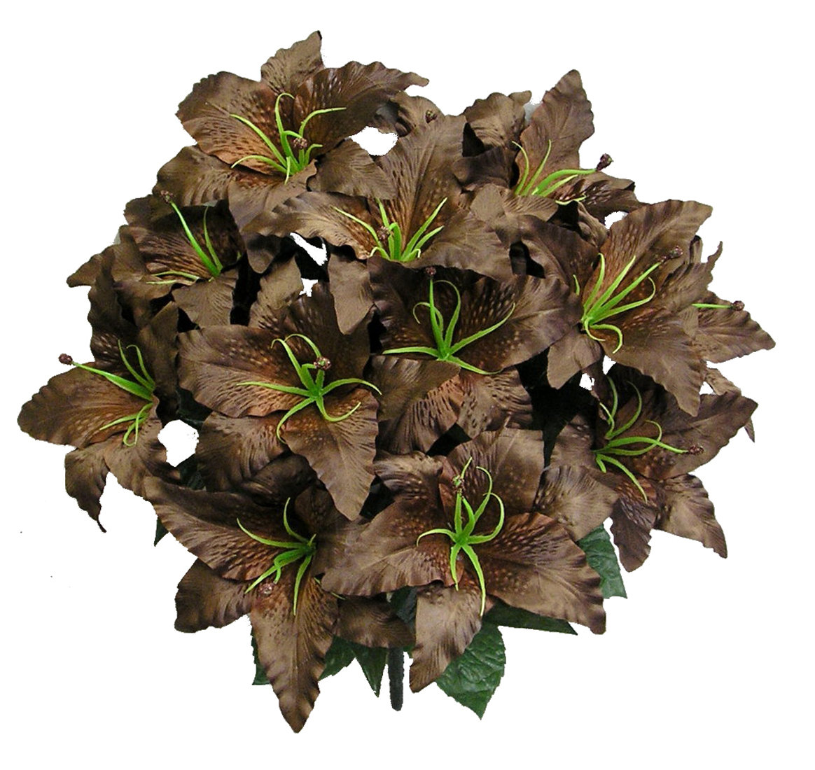 Primrue Lily tiger à fleurs pleines avec douille verte et Commentaires ...