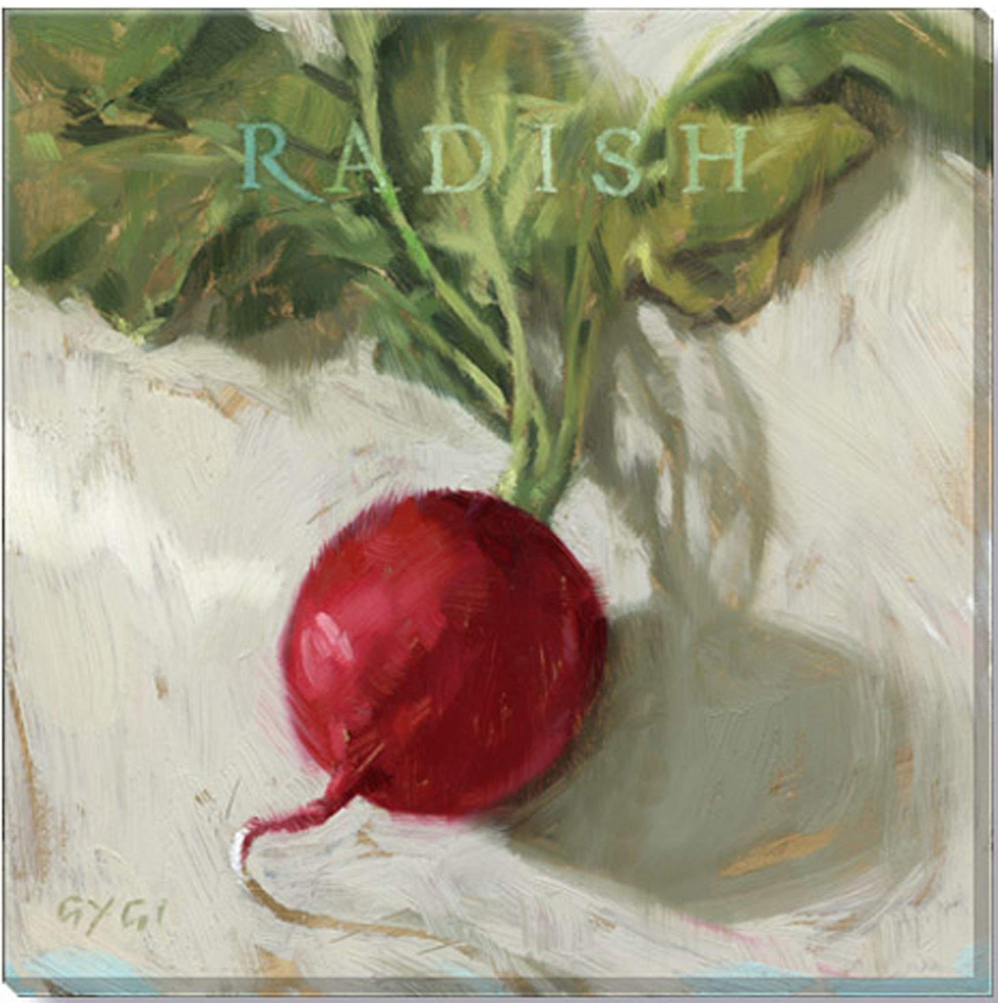 Darren Gygi Home Collection Radish by Darren Gygi - Wrapped Canvas ...