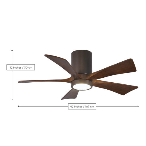 Modern Black Blades Ceiling Fans | AllModern