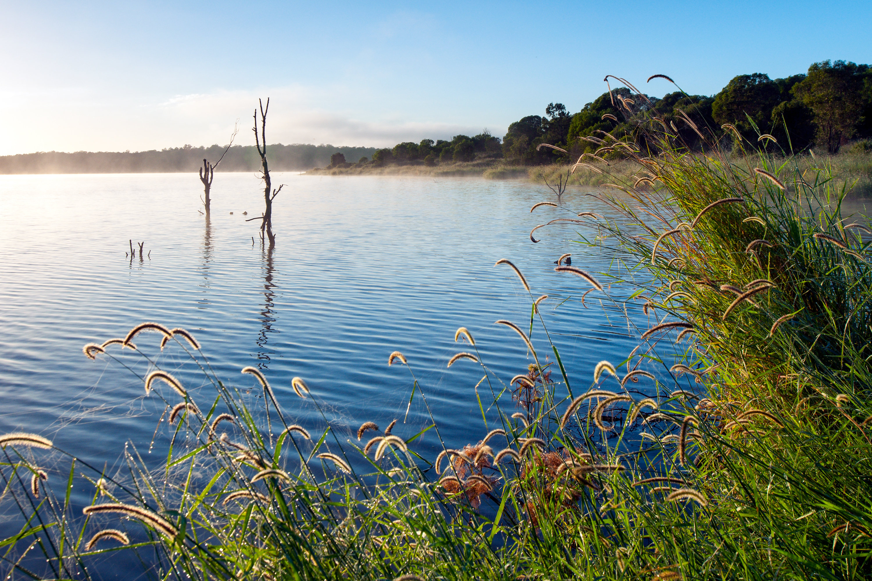 Highland Dunes Lake Samsonvale - Wrapped Canvas Photograph | Wayfair