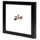 17 Stories Kline Wood Picture Frame - Set of 9 & Reviews - Wayfair Canada