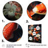 Bay Isle Home™ Asian Art Infinite Koi I - Asian Art Canvas Print Wall ...