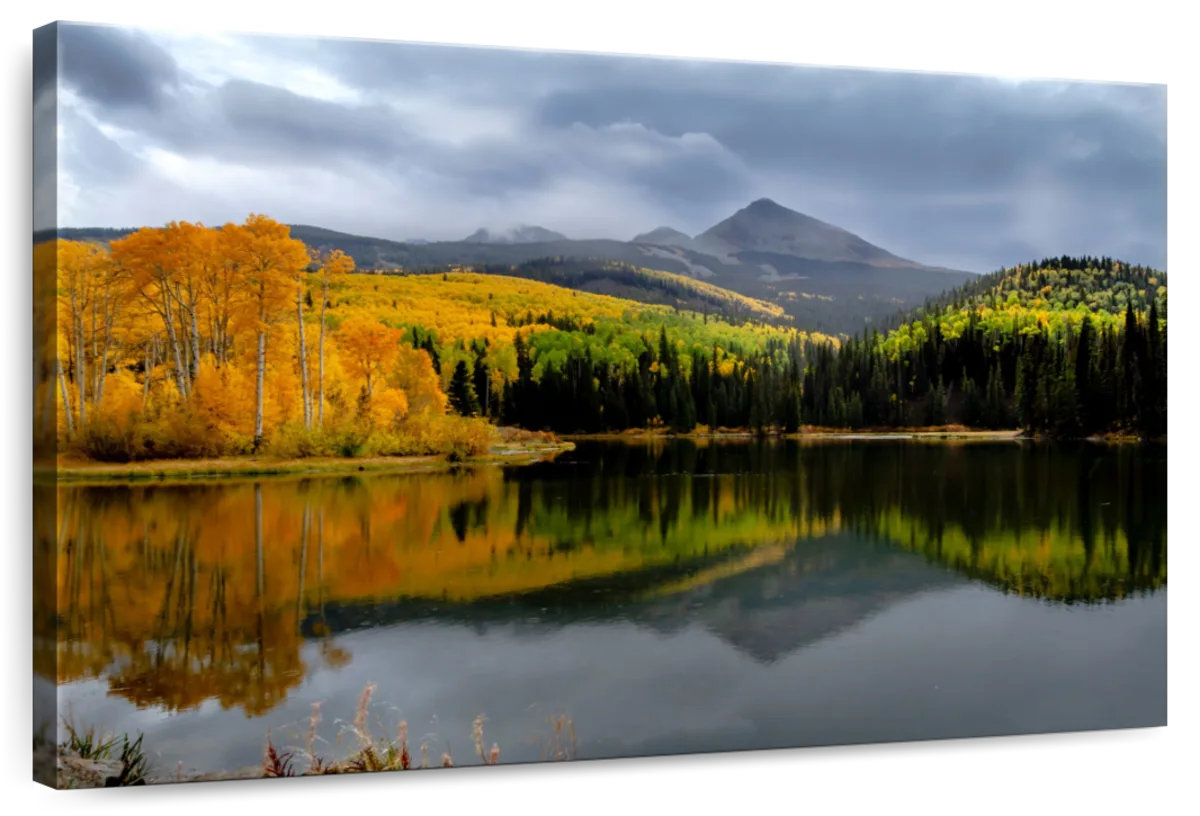Millwood Pines Alvord Colorado Woods Lake | Wayfair
