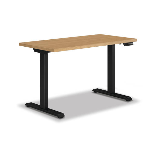 HON Coze Height Adjustable Rectangle Standing Desk | Wayfair