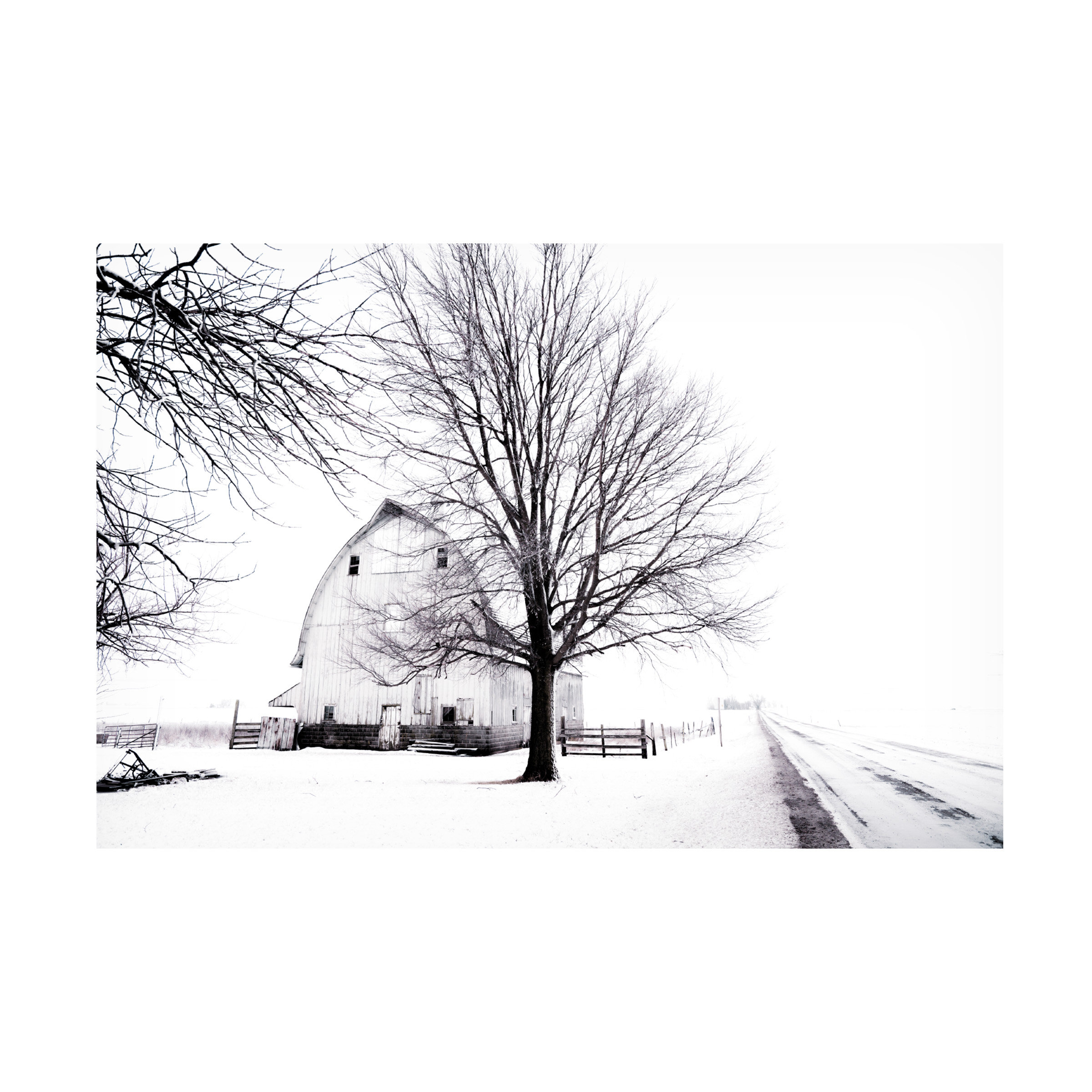 Ebern Designs January Barn by Blue Palomino - Wrapped Canvas Photograph ...