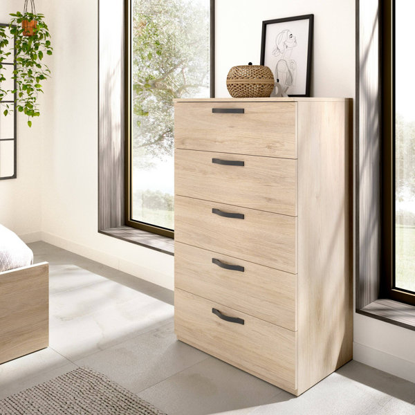 Latitude Run Abery Accent Chest | Wayfair.co.uk