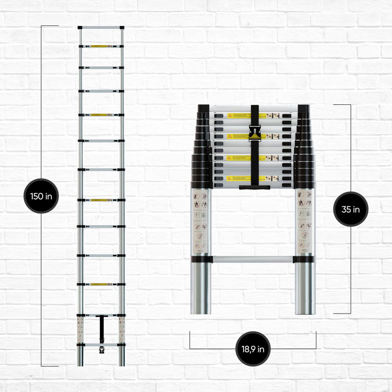 WFX Utility™ Aluminum Lightweight Extension Ladder | Wayfair