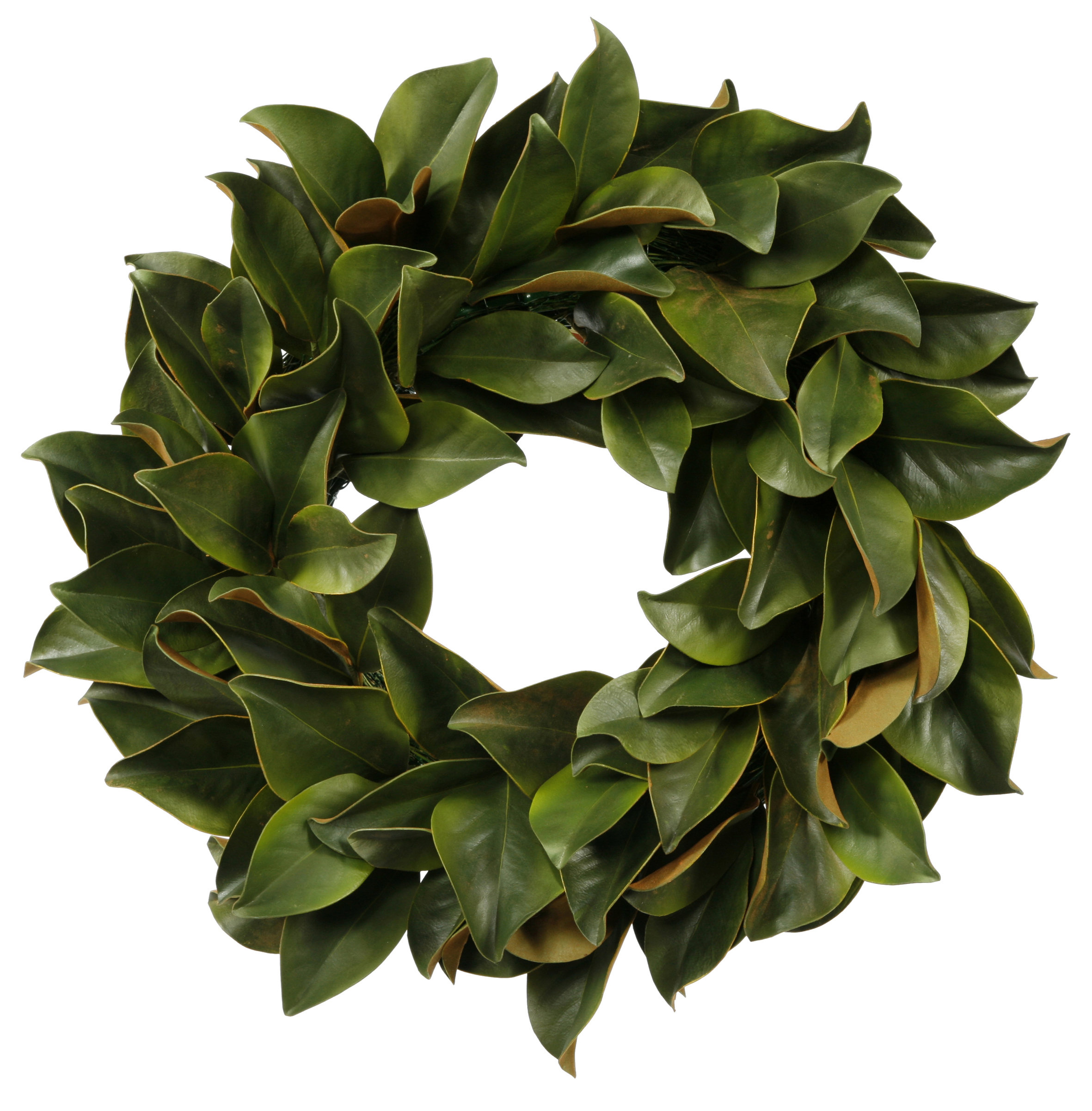 Winward Silks Magnolia Leaf Wreath & Reviews | Wayfair