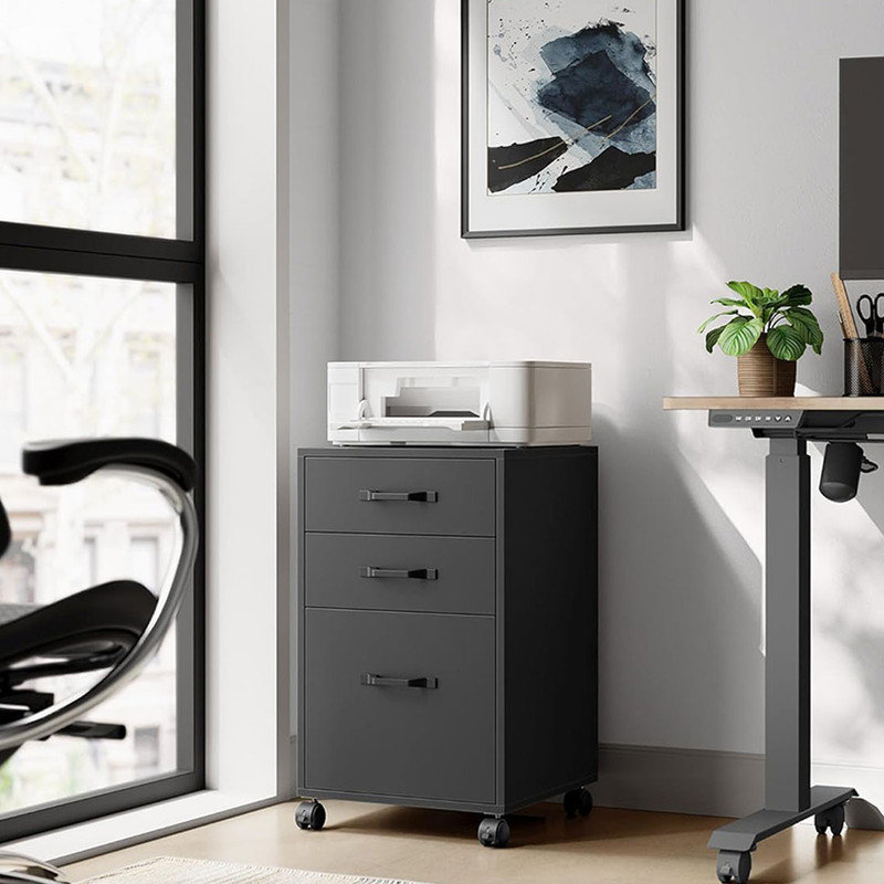 Latitude Run® Durable Rectangular File Cabinet, 3 Drawers Filing ...