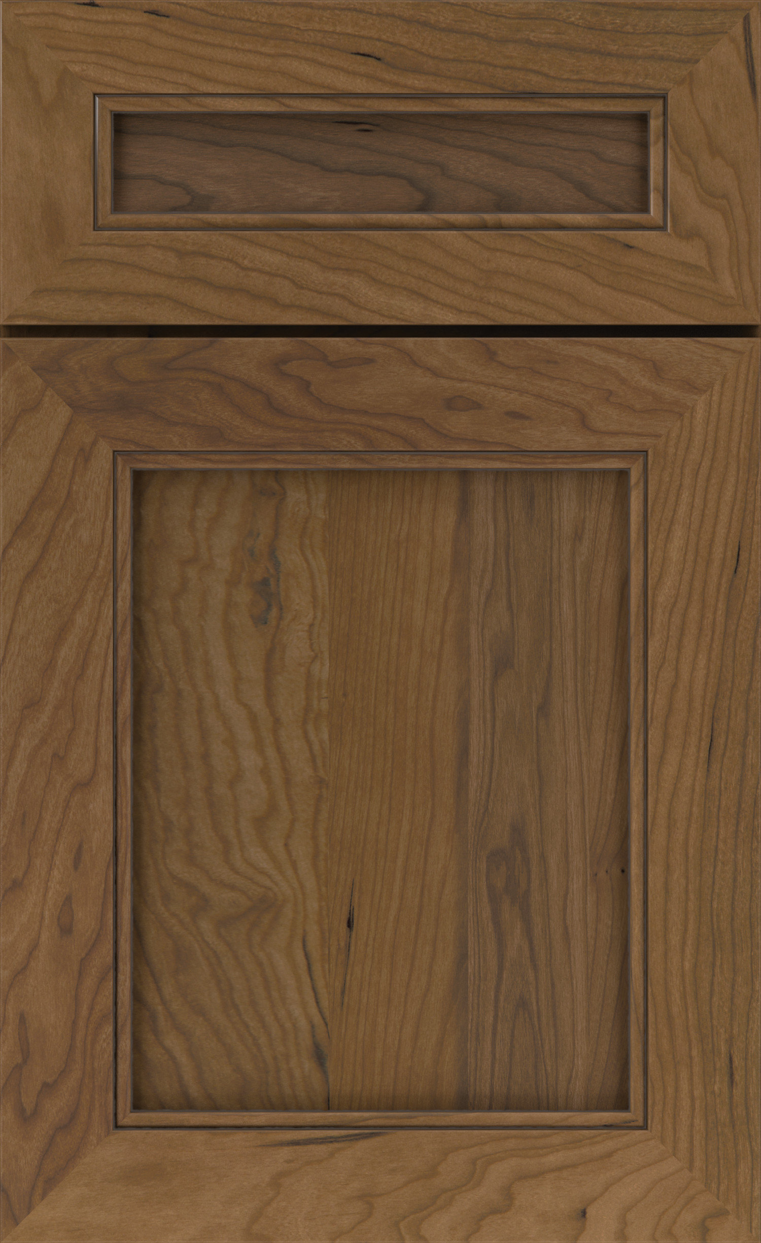 Dwelling Dryden Maple Cabinet Door | Wayfair