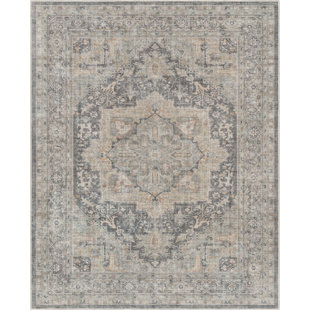 Gray & Silver Area Rugs You'll Love | Wayfair