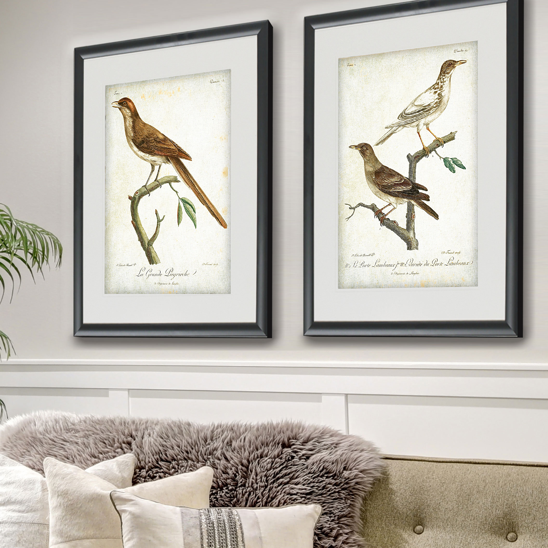 Alcott Hill 'Vintage Aviary Sketch XIX' 2 Piece Framed Acrylic Painting ...
