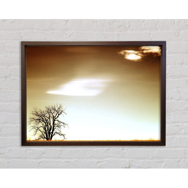 Bright Star Lone Tree - Single Picture Frame Print on Canvas | Wayfair ...