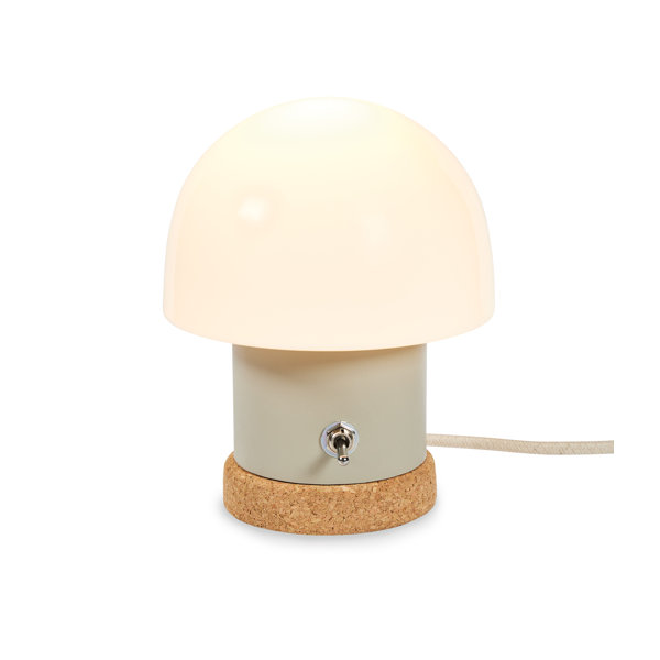 Bobo Intriguing Objects Glass Novelty Lamp | Wayfair