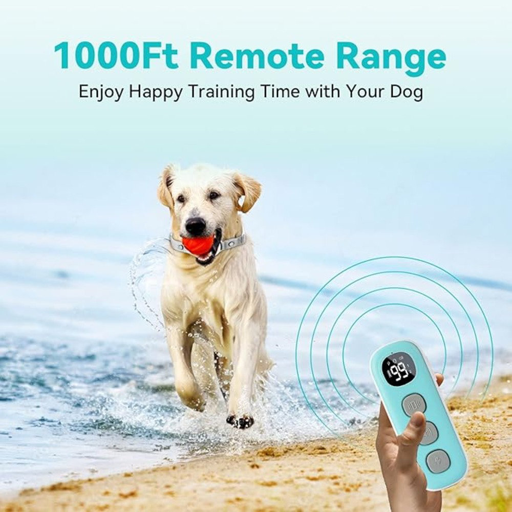 Invenitiah Portable Static Dog Training Collar | Wayfair