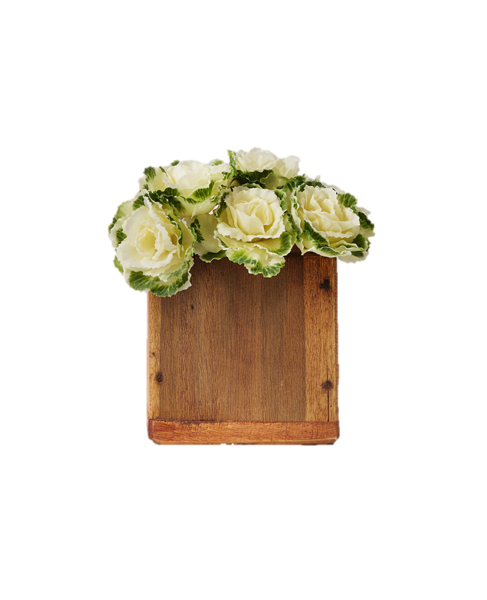 Union Rustic Square Solid Wood Box & Reviews | Wayfair