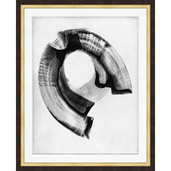 Wendover Art Group Oculus Oculus 1 Framed On Paper by Thom Filicia ...