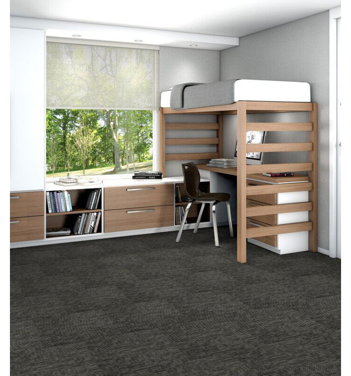 Shaw Floors Apollo 24-in x 24-in Multi-Level Loop Adhesive Carpet Tile ...