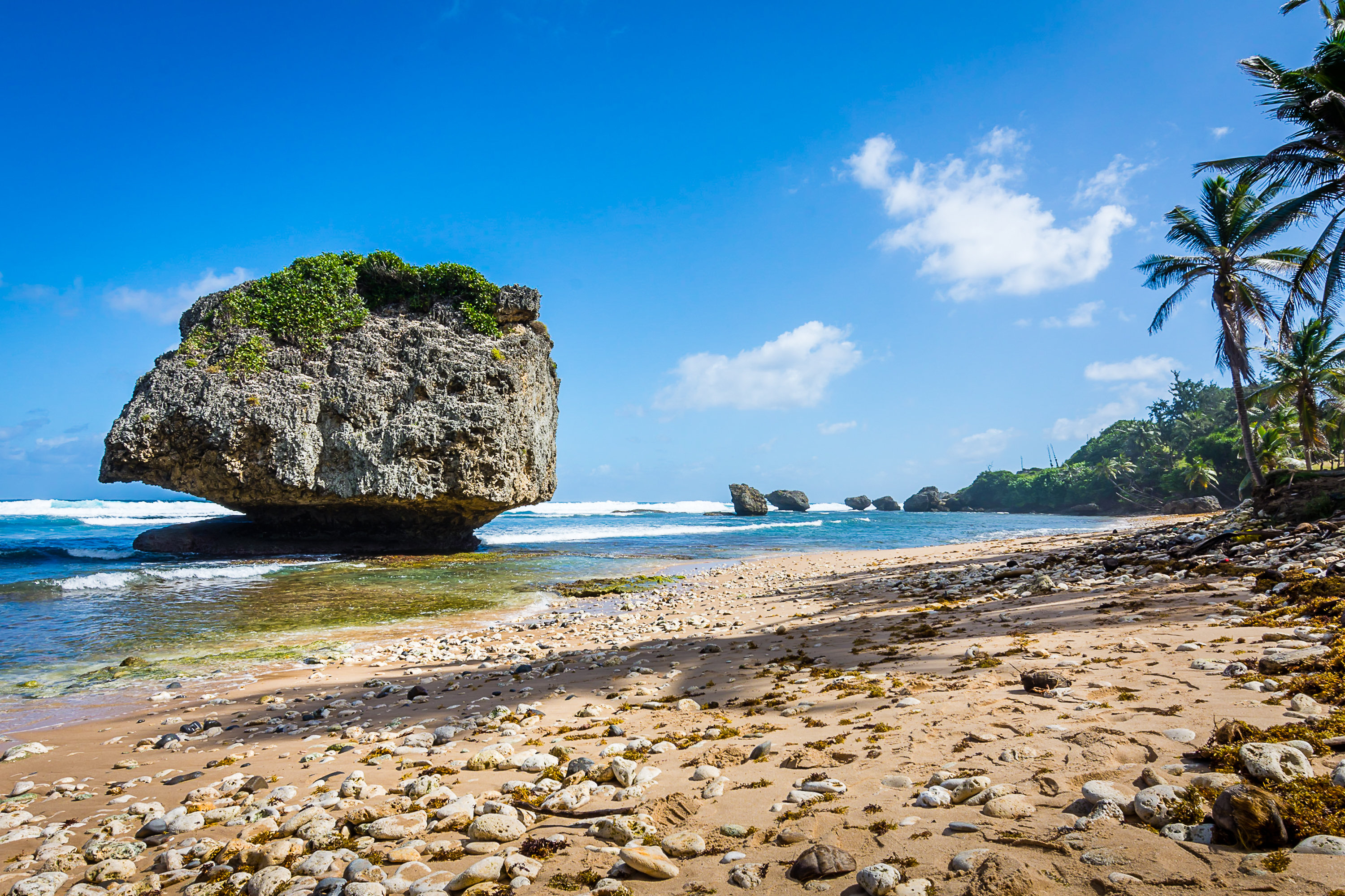 House of Hampton Bathsheba Beach, Barbados | Wayfair.co.uk