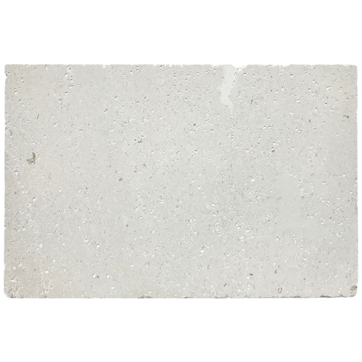 Patara Stone Fossil Stone Paver Tumbled 16x24x3 cm | Wayfair