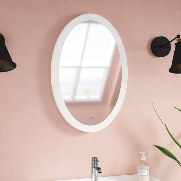 Brayden Studio® Nocera Oval LED Wall Mirror & Reviews | Wayfair