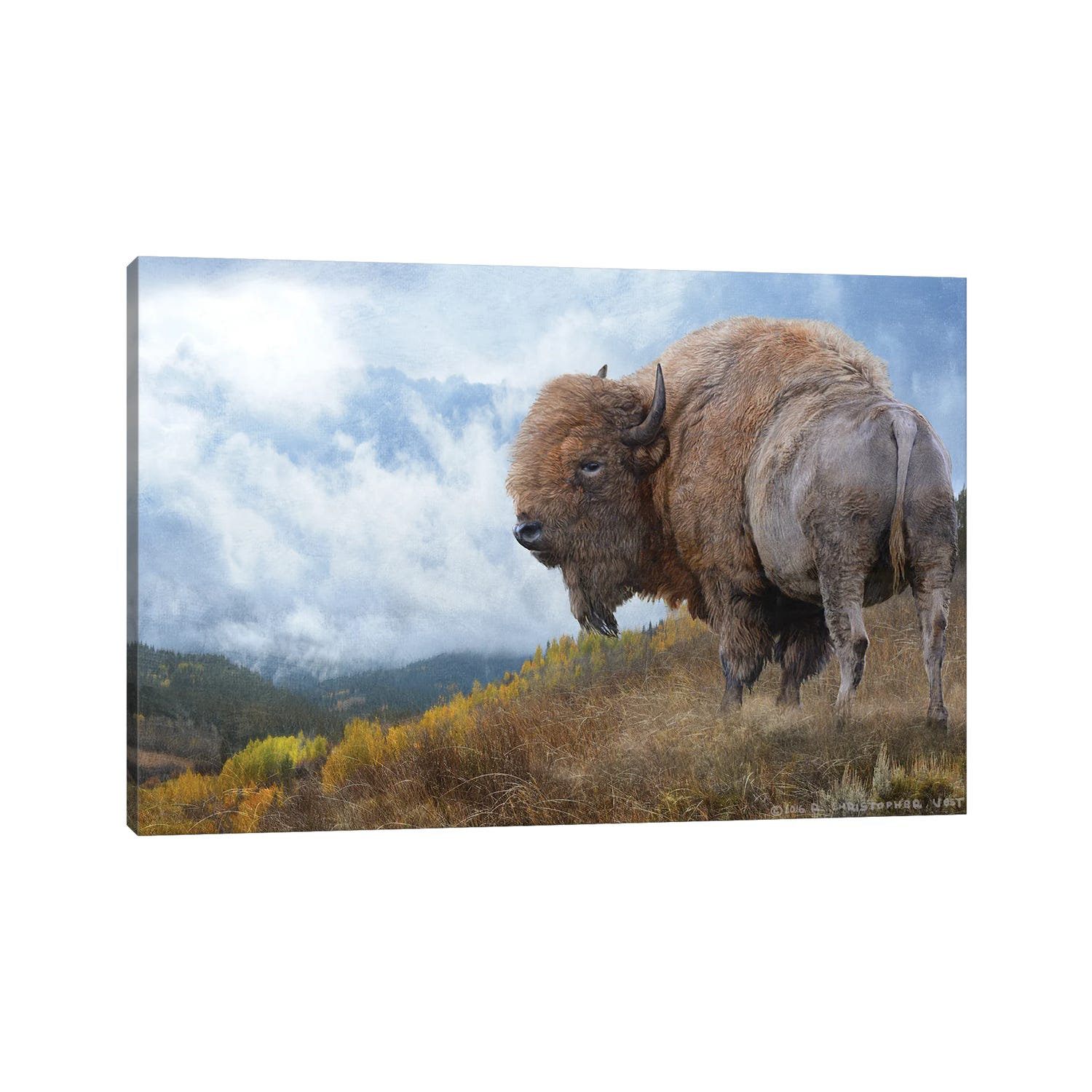 East Urban Home Golden Bison II - Wayfair Canada