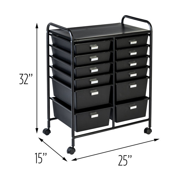 Rebrilliant Aiden 12 Drawer Rolling Storage Chest & Reviews | Wayfair