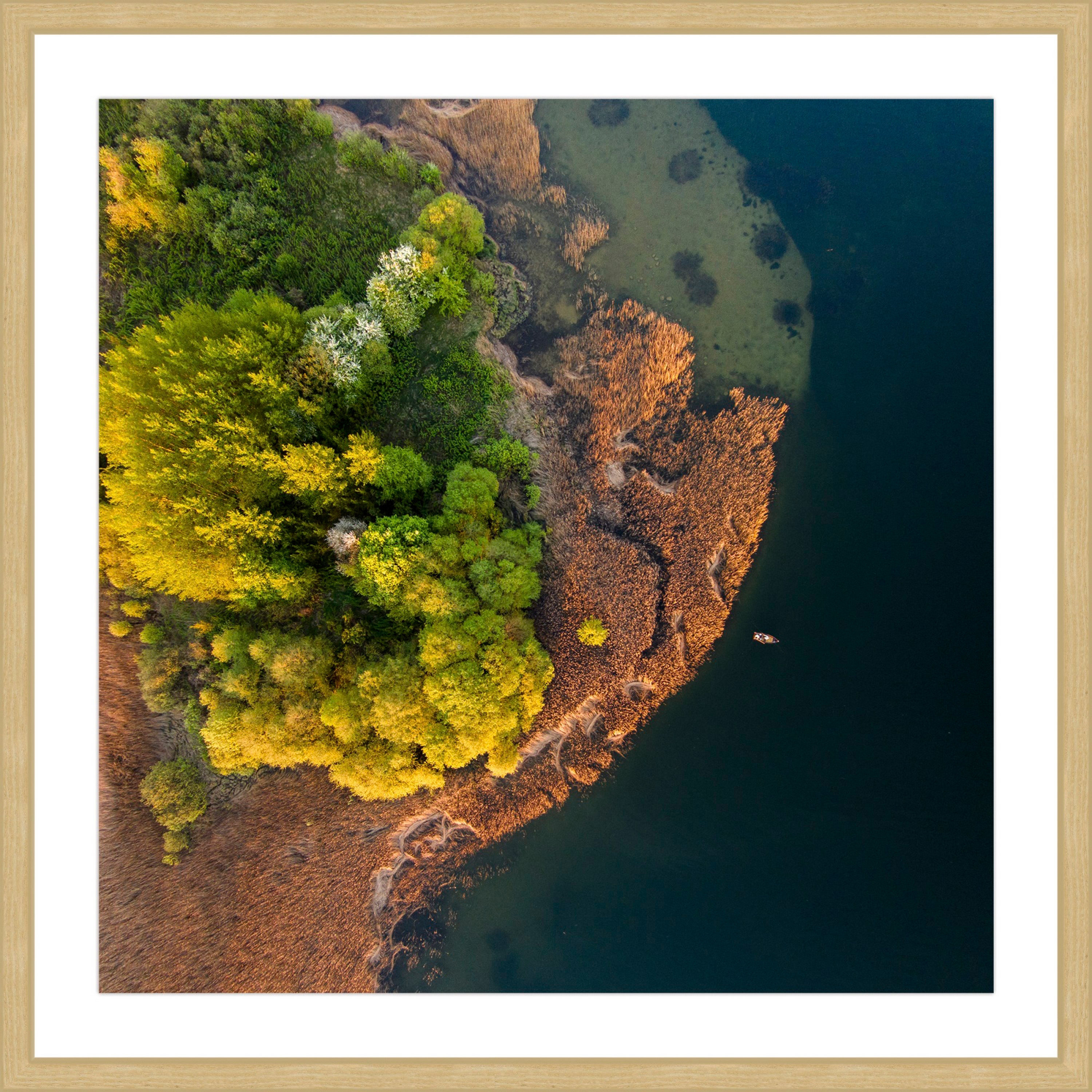 Marmont Hill 'Trees From Above' by Karolis Janulis Framed Painting ...