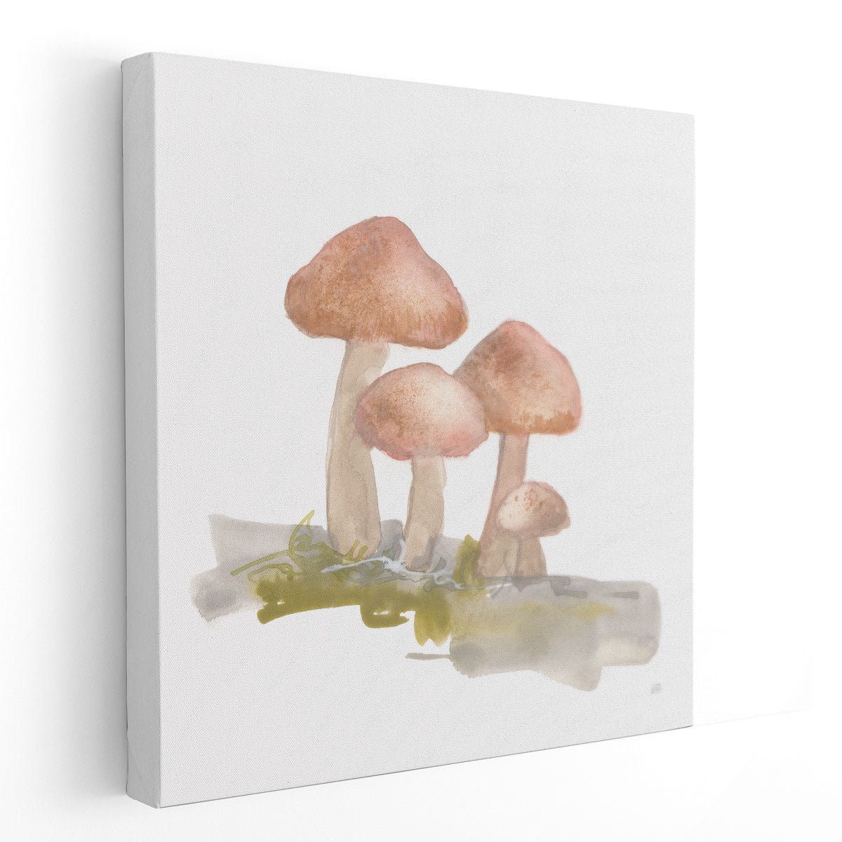Gracie Oaks Mellow Mushrooms II - Canvas Print Wall Art | Wayfair