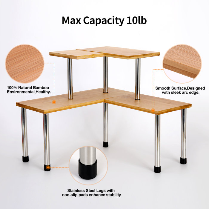 Rebrilliant Lakky 2 Tier Shelving Rack | Wayfair