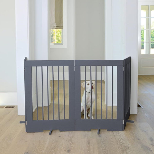 Cardinal Gates 4-Panel Freestanding Pet Gate | Wayfair