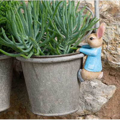 Jardinopia Beatrix Potter Peter Rabbit Climbing Pot Buddy Pot Hanger In ...