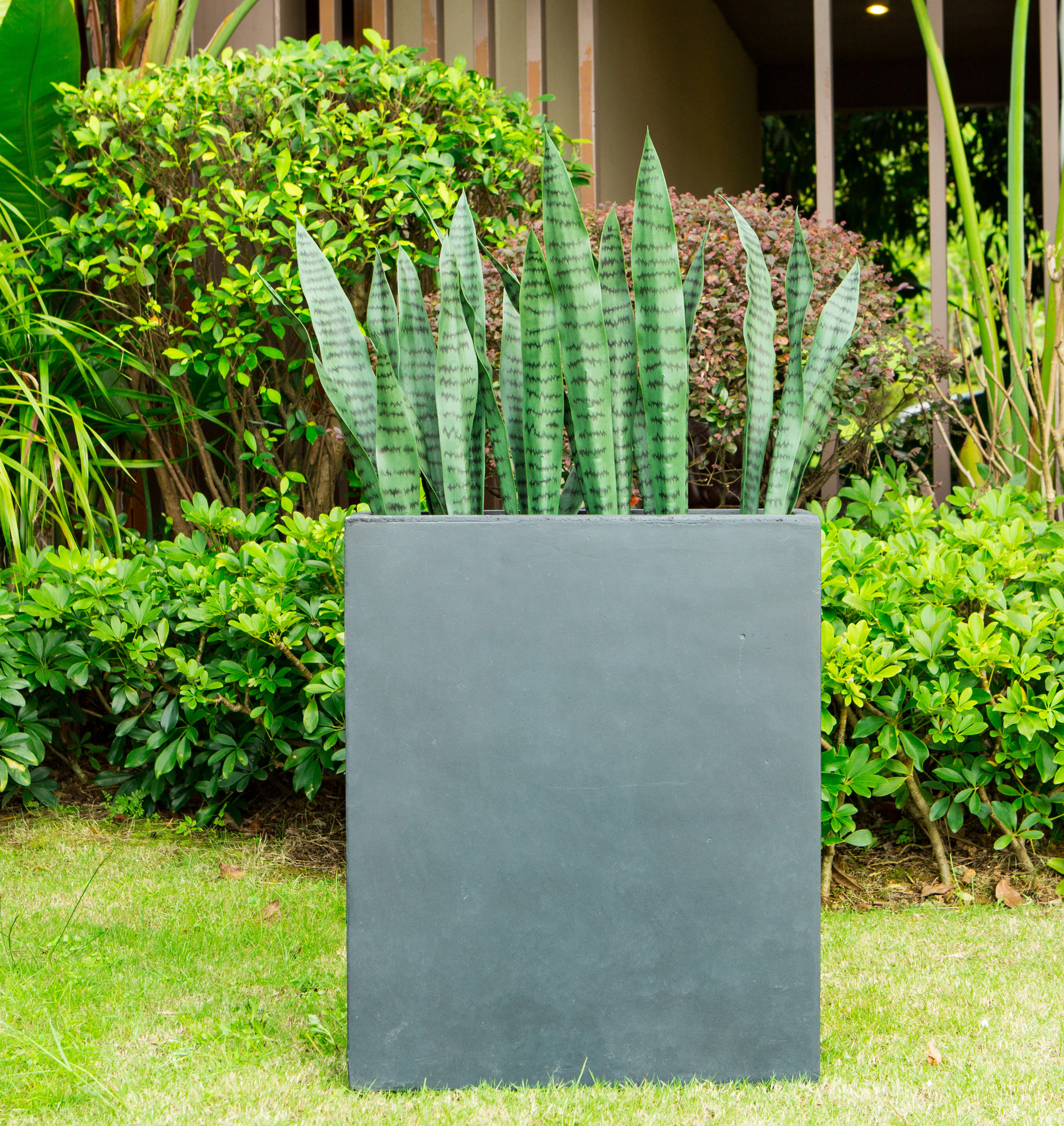 17 Stories Fiberglass Planter Box & Reviews | Wayfair