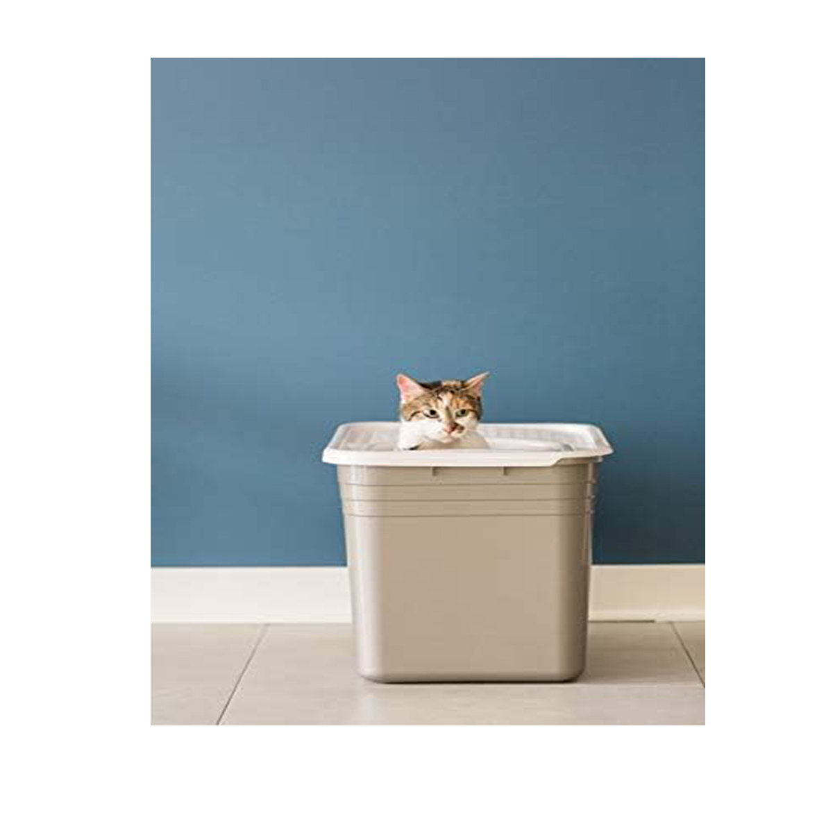 Ebern Designs Large Top Entry Litter Cat Litter Box Enclosure With Lid ...