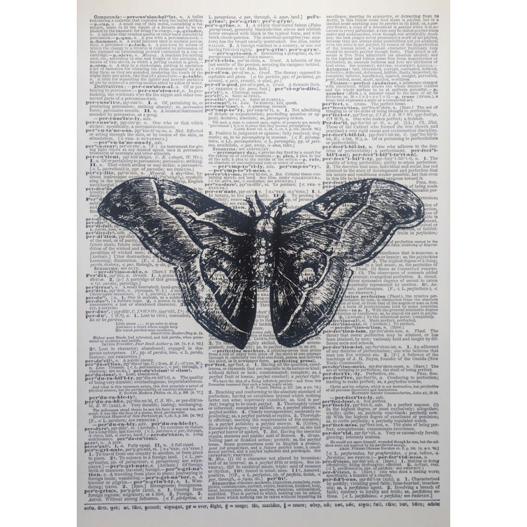 Happy Larry A3 Vintage Moth Illustration Dictionary Print - Insect Wall ...