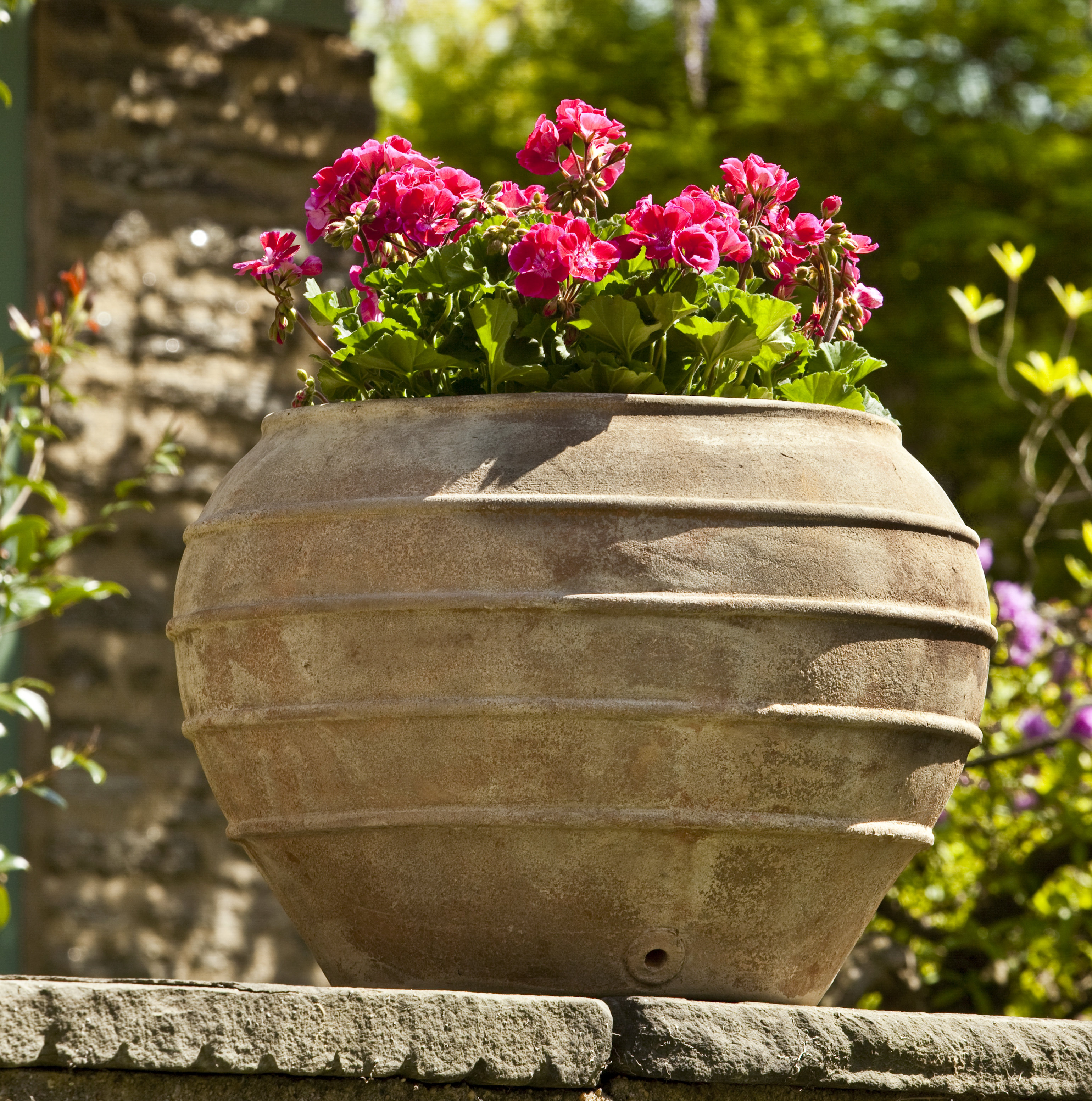 August Grove® Thea Terracotta Pot Planter | Wayfair