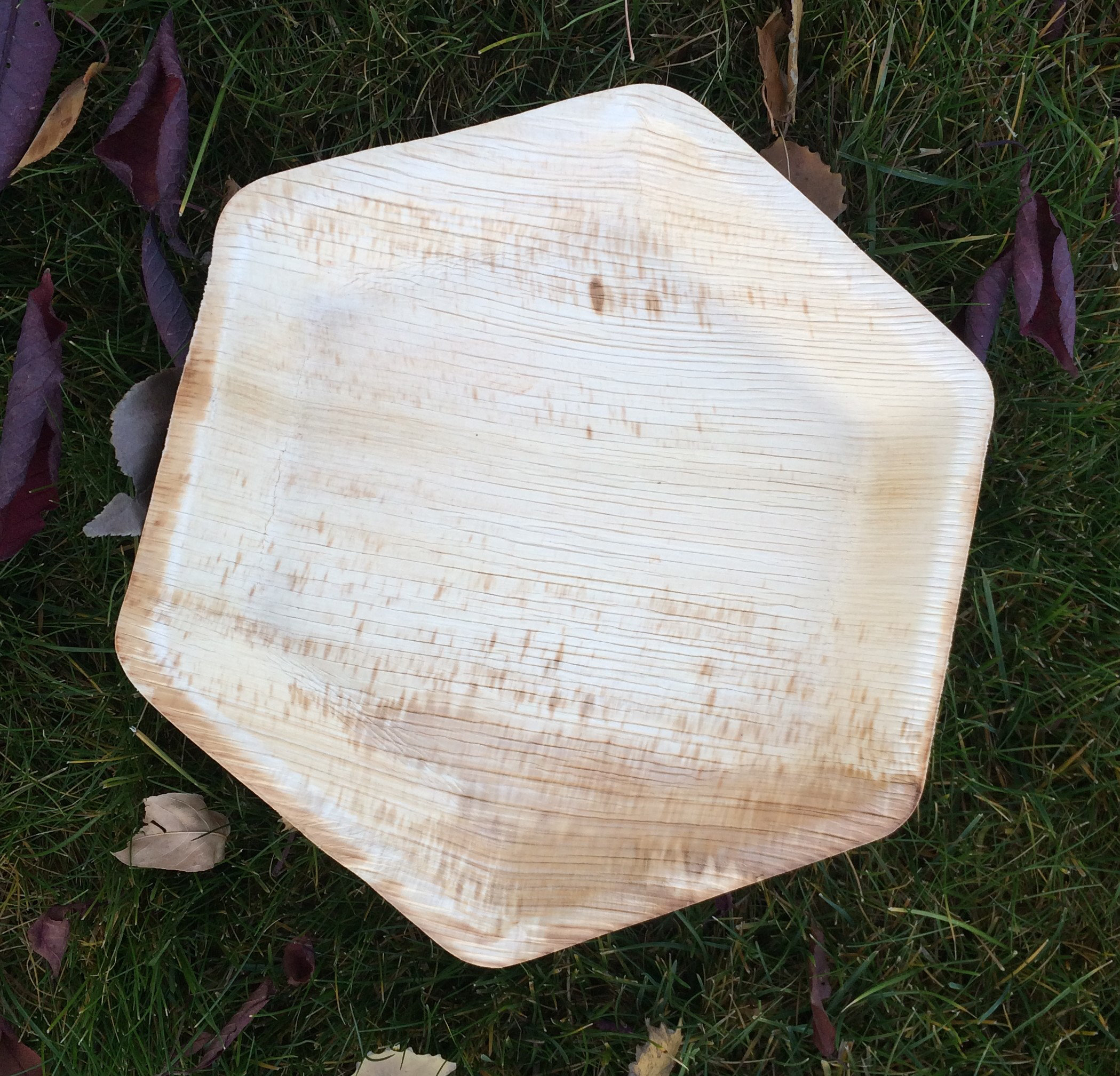 BioMart 9" Hexagon Disposable Dinnerware Set - Wayfair Canada