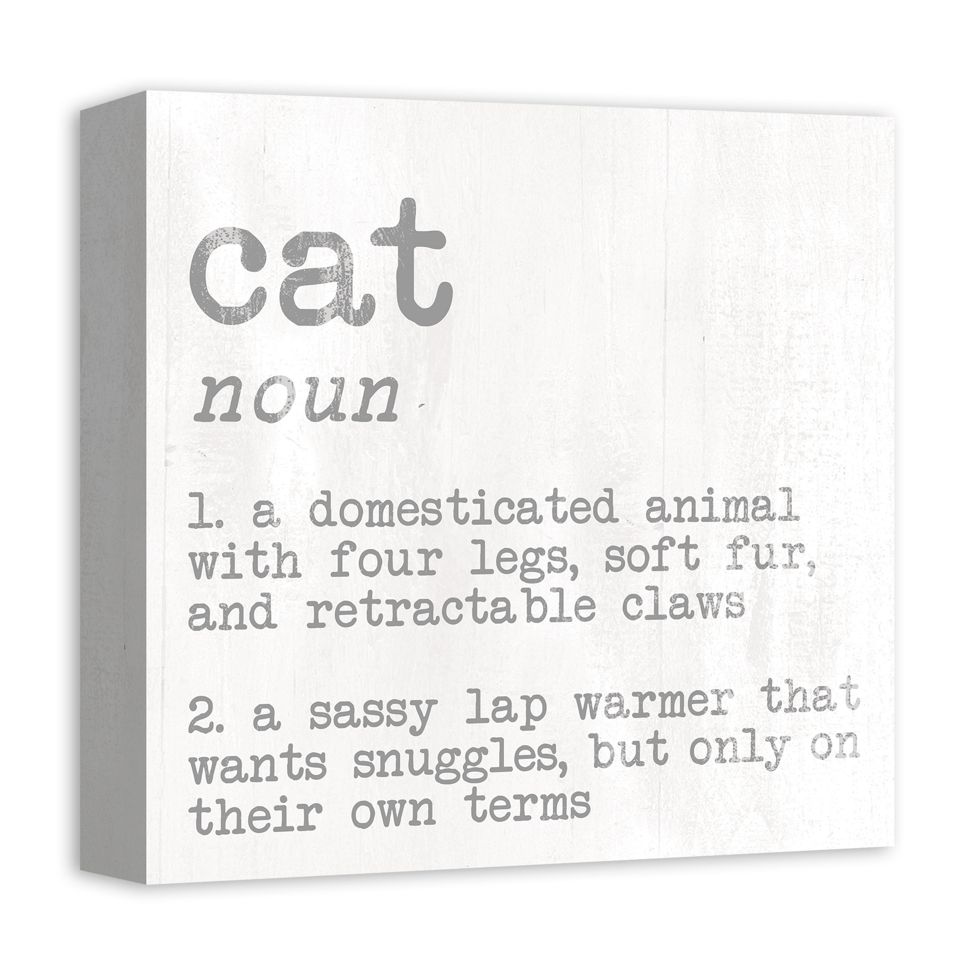 Trinx Cat Noun Print On Canvas | Wayfair